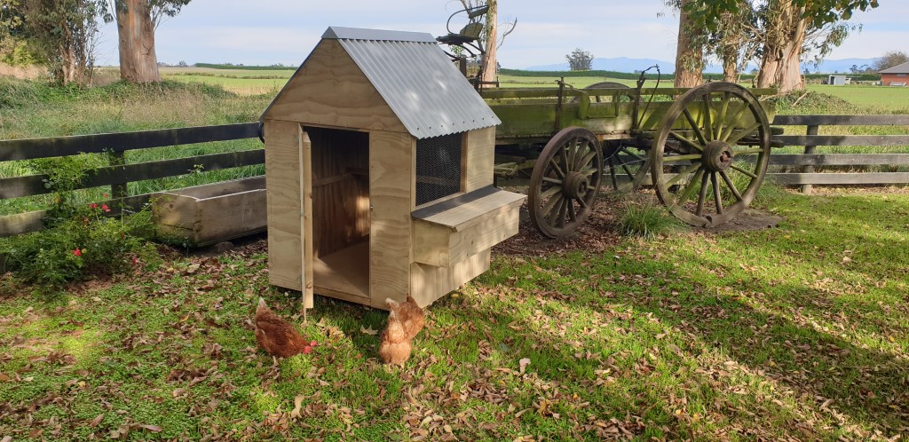 STOCK ON THE BLOCK – Chicken Coops & Animal Shelters